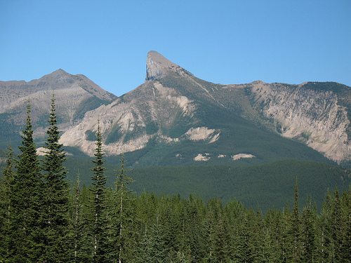 A National Park for the Flathead Valley? | Vancouver Public Space Network